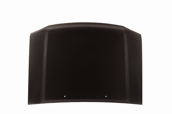 Hood panel assy all – NISSAN FRONTIER 2001-2004 – Fordon